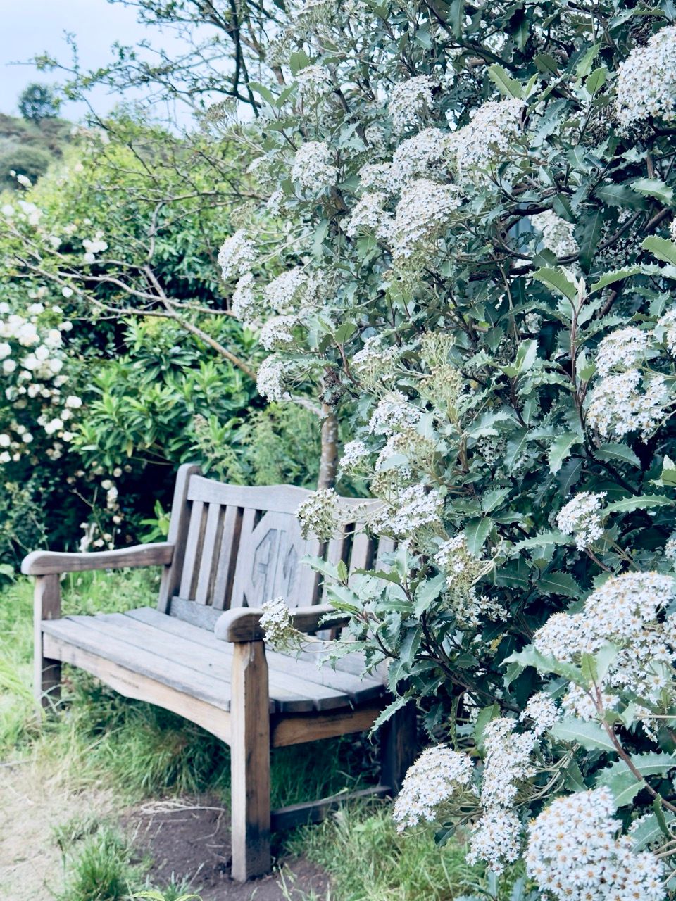 A half-day trip to Dr Neil’s Garden, Duddingston Village, and ...