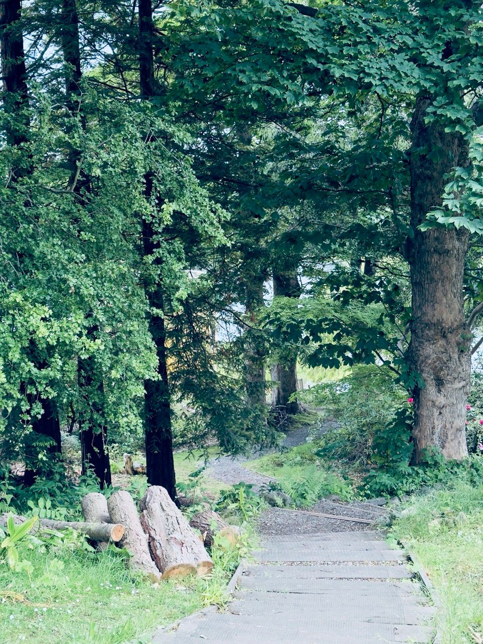 A half-day trip to Dr Neil’s Garden, Duddingston Village, and ...