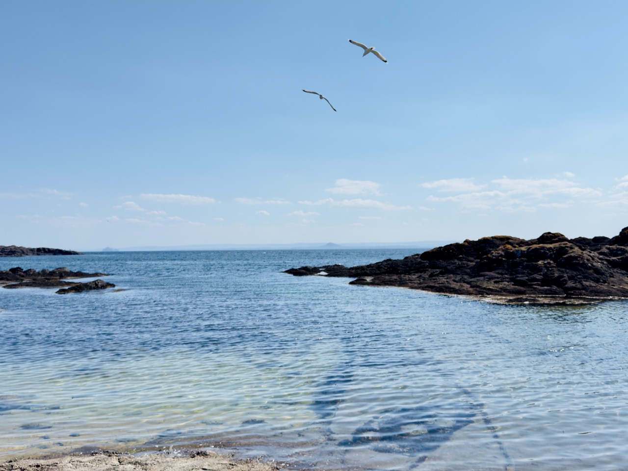 Fife Coastal Towns from Edinburgh: Crail, Elie, Anstruther & Other ...